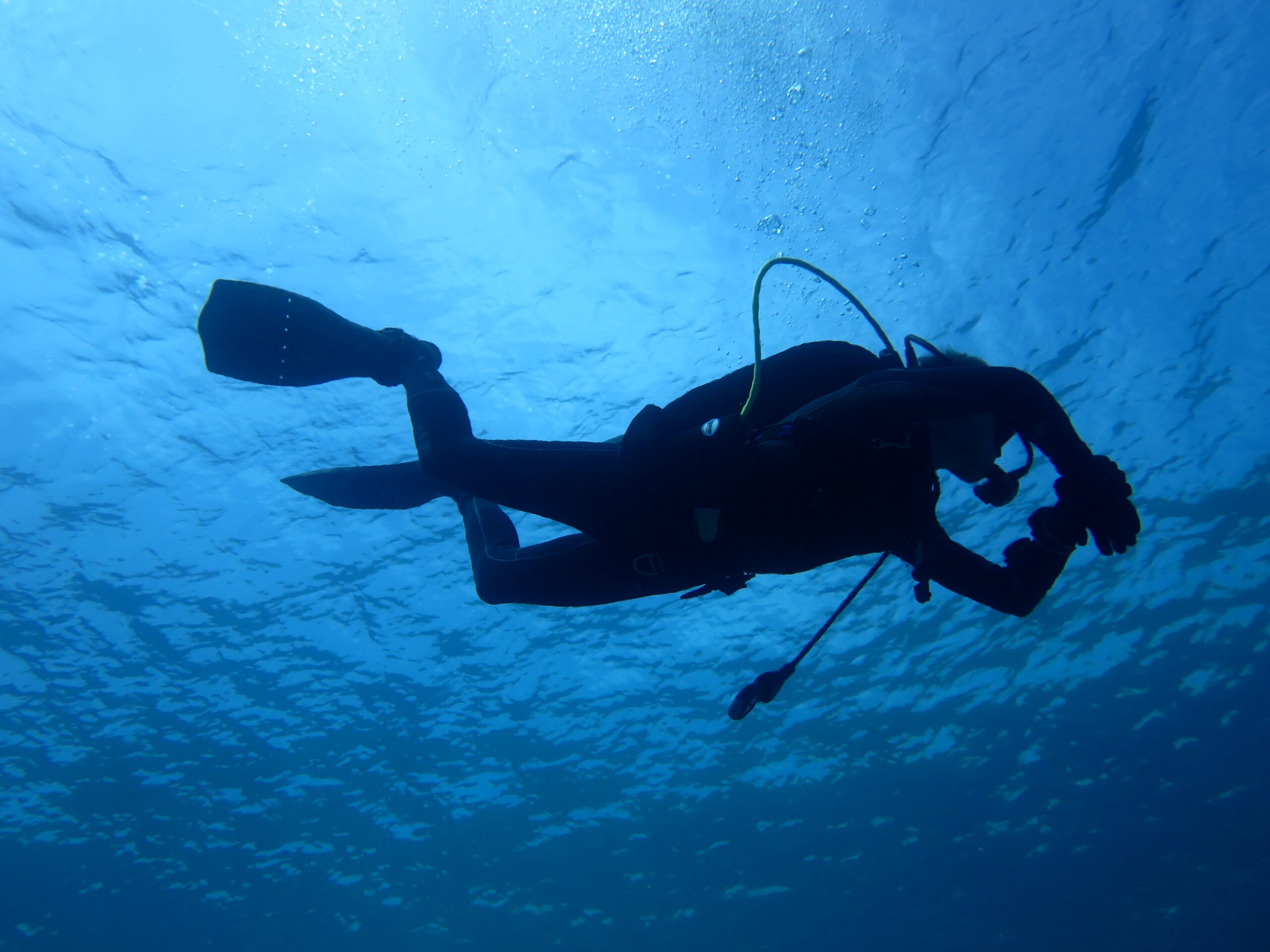 Rescue Diver - Samos Sub