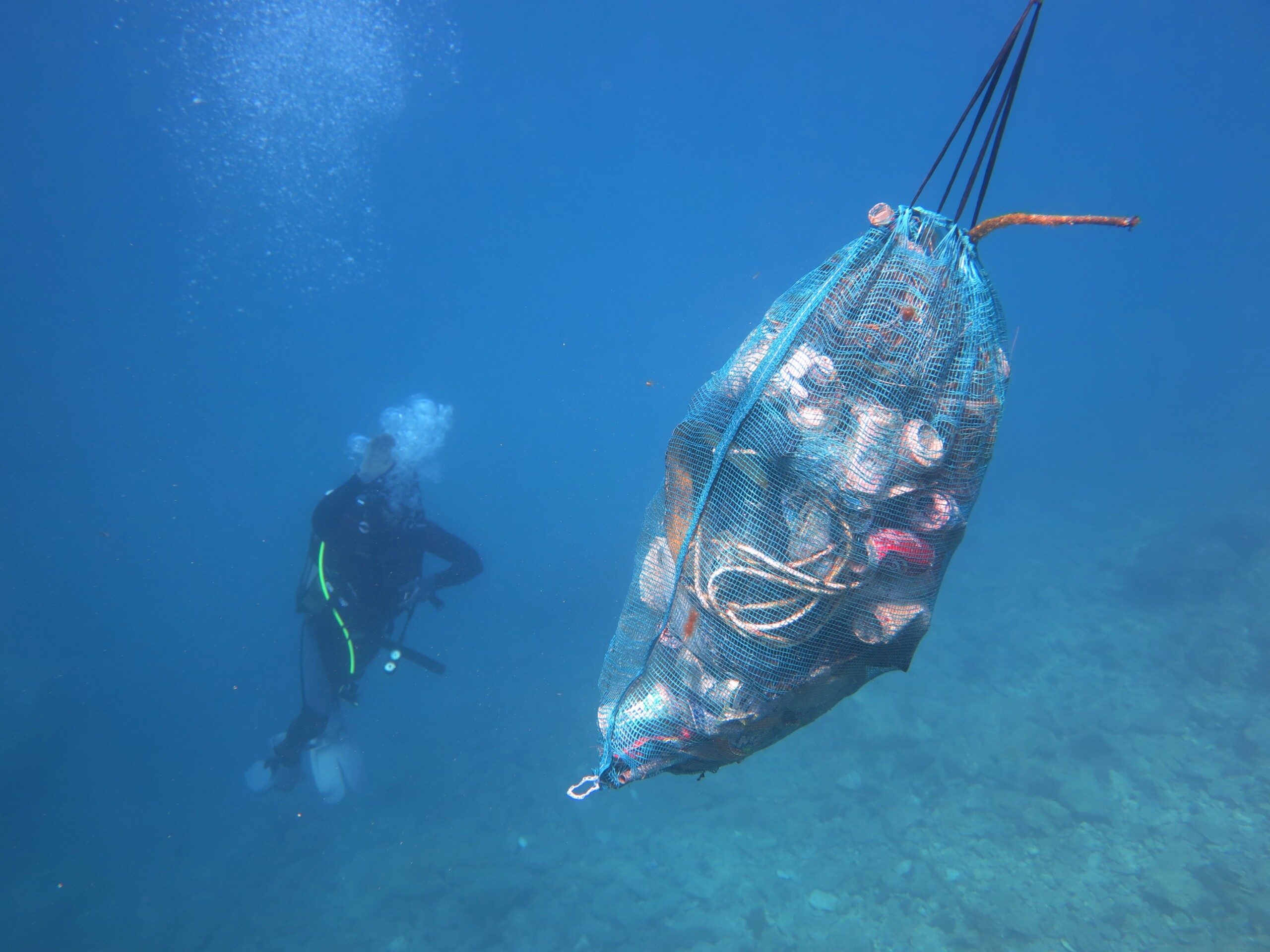 Dive Against Debris - Samos Sub